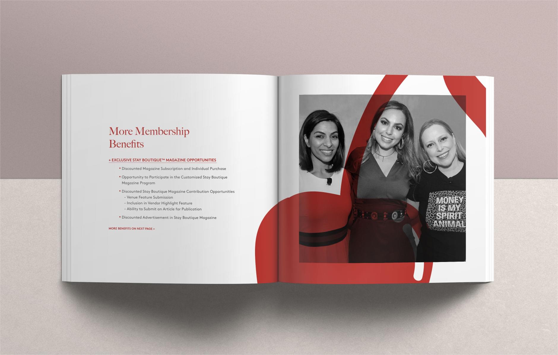 Boutique Lifestyle Leaders Association Membership Brochure - Jadotte ...